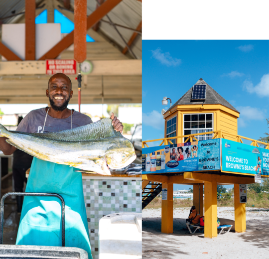 About – Barbados Marine Spatial Plan