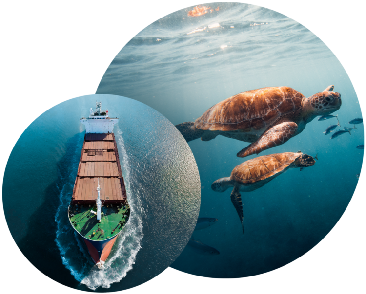 Barbados Marine Spatial Plan – Barbados Marine Spatial Plan